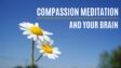 Compassion Meditation How It Affects Our Brains - Inner Light Publishers